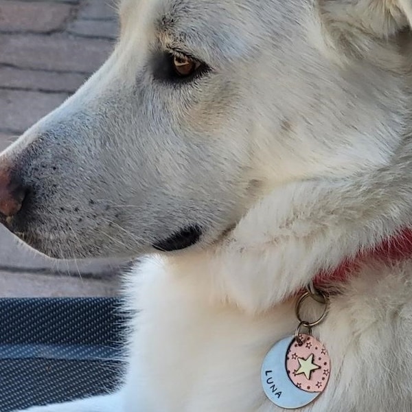 Luna Pet ID Tag - Dog Id Tag - Dog Collar Tag - Pet ID Tag - Hand ...