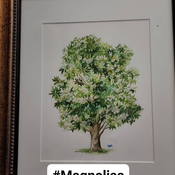 Watercolor State Tree of Virginia, State Tree of Missouri, Flowering ...