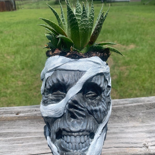 Classic Monsters Succulent Planter Pot, Hand Sculpted, Painted! - Etsy
