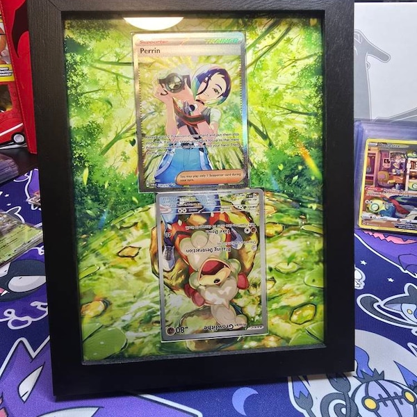 Silvers Rayleigh Manga Custom One Piece Display Case - Etsy