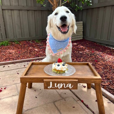 Dog Food Table Stand Dog Dinner Table Elevated Rustic Farmhouse Dog ...