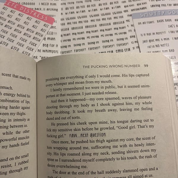 Smutty Good Time (3rd Edition) Sticker Sheet, Book Annotating Stickers ...