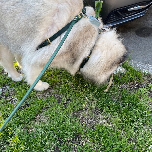 BIOTHANE DOG HARNESS, Large Breeds Training Harness, Biothane Beta ...