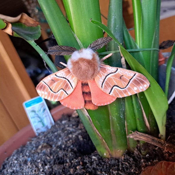 Hercules Moth , Needle Felted, Moth Figurine, Decoration, Handmade ...