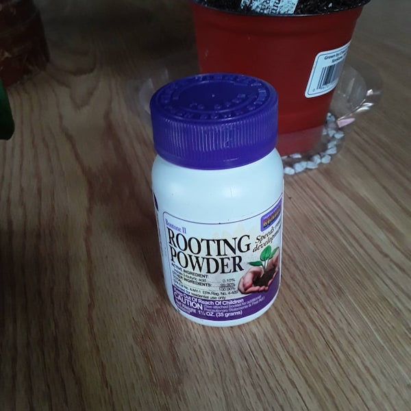 Rooting Powder - Etsy