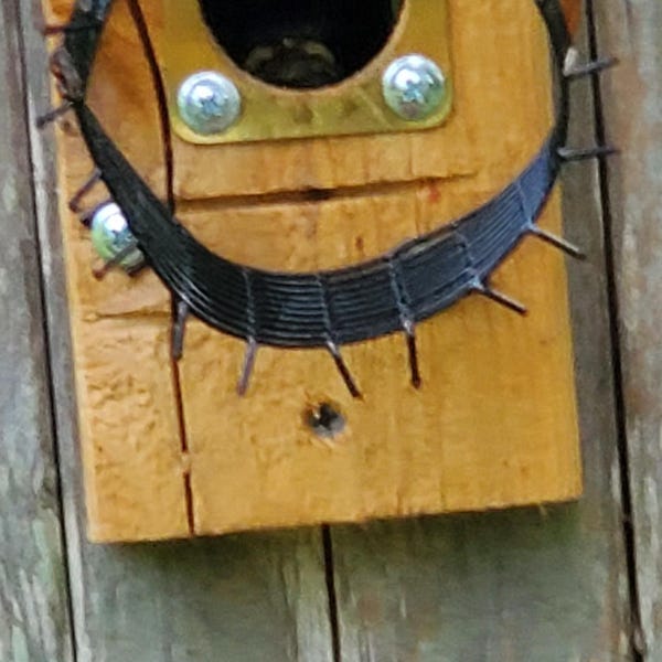 Peterson Bluebird House | Cedar | Insulated | Front Opening | Predator ...