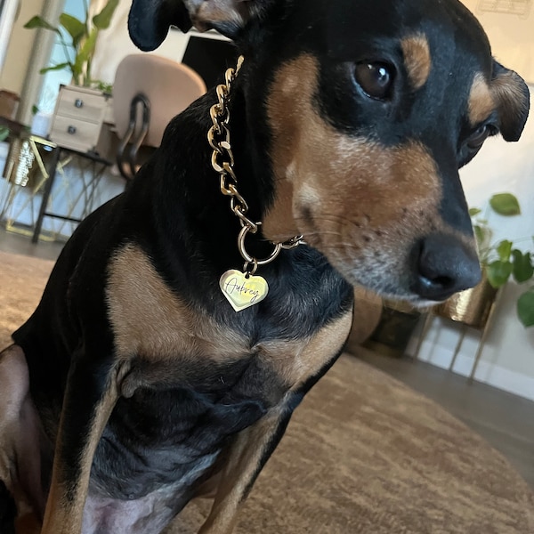 Chain Cat Collar, Medium Cuban Link Cat Necklace, Lightweight Cat ...