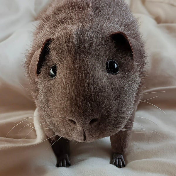 Sleeping Rat, 3d Pet Copy, Rat Portrait, Rat Figurine, Polymer Clay ...