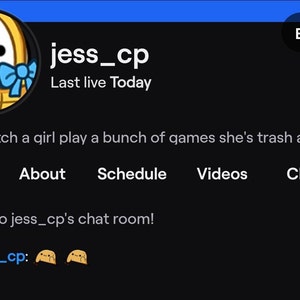 Neon Cyberpunk RGB Twitch Offline Screen - Etsy