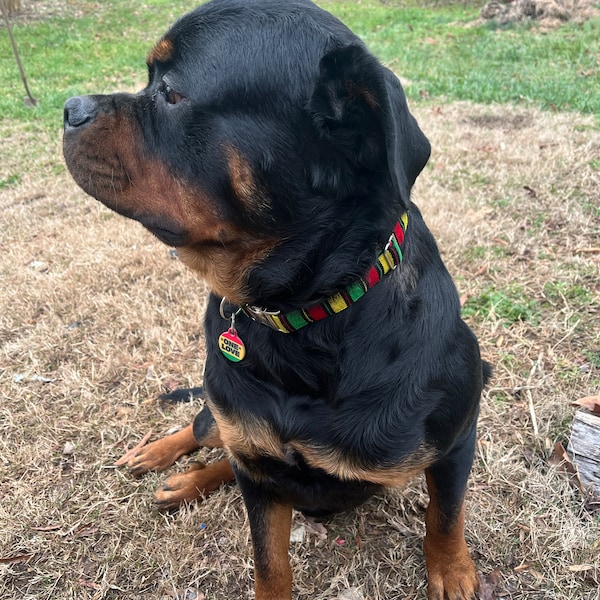 James Bond Tuxedo Secret Agent Pet ID Tag by Dog Tag Art Personalize ...