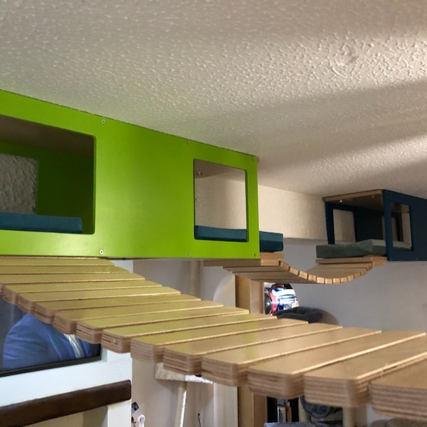Wally Tunnel Top, Cat Shelf, Cat Floating Shelf, Ceiling Mounted Cat ...