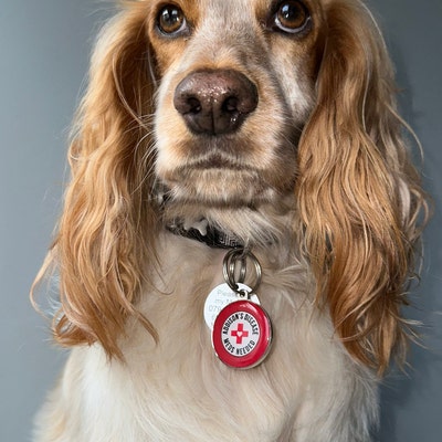 Poop Dog Tag for Your Little Sht Free Personlisation - Etsy UK