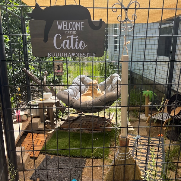 Hand Painted Welcome to the Catio Sign, Wood Cat Shaped Sign, Hanging ...