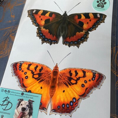 Cockapoo Watercolour Painting Original Hand Painted Framed Pet Art - Etsy