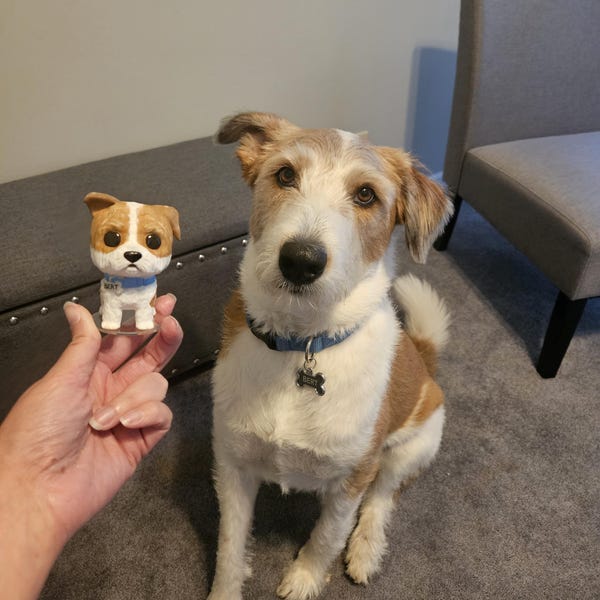 Custom Pop Pet Dog Figurine Sculpture Miniature Funko Pop Yorkie ...