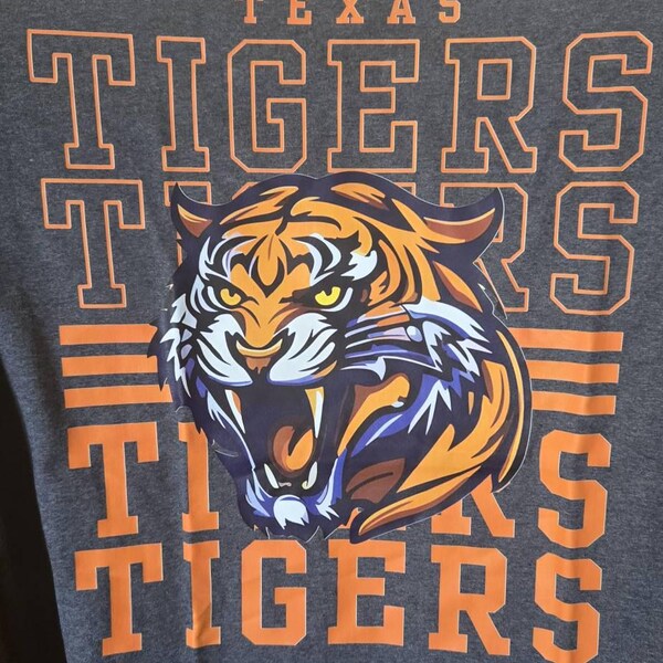 Custom Mascot School Spirit Shirts, School Mascot Tees, Team Spirit ...