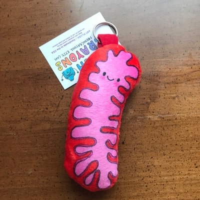 PANCREAS Plushy/ Pancreas Plush Toy/ Anatomy Pancreas Plush - Etsy