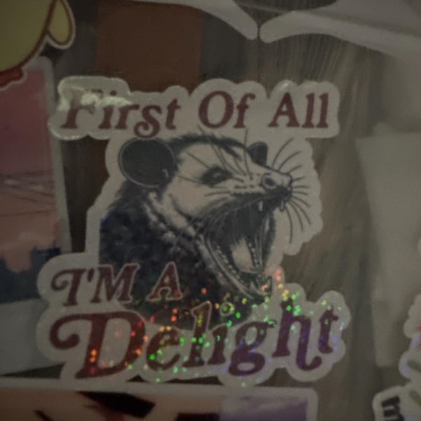 First of All I’m a Delight Possum Silly Holographic Sticker Mental ...