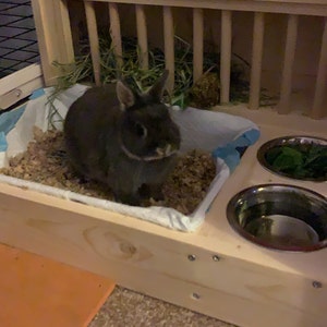 Rabbit Hay Feeder 3 in 1 Hay & Food Bowls With Litter Tray - Etsy