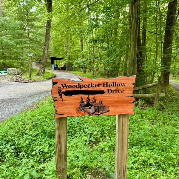 Outdoor Signs, Wooden Carved Cabin Sign, Pine Trees, Custom Wood Sign ...