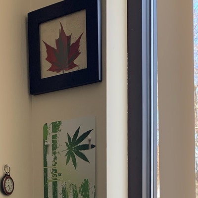 REAL Pressed Cannabis Leaf Imposed on a Maple Leaf Framed SIGNED ...