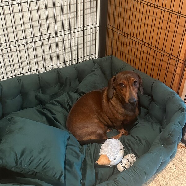 Blue Dog Bed, Large Dog Bed, Velvet Dog Bed, Dog Bed Large, Dog Bed ...