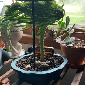 Spy Camera Enclosure Pot Custom Made - Etsy