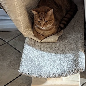 19 Cedar Cat Scratching Post/cedar Post/kitten/wooden Cat Scratcher/cat ...