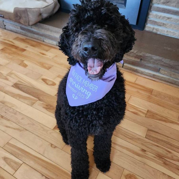 Hello Seven, 7th Birthday Shirt, Seventh Birthday Shirt, Cute 7th ...