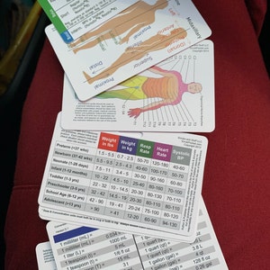 Dermatome Badge Pocket Card Vertical for Nurse Paramedic EMT | Etsy