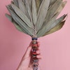 Chakapa ~ Shacapa ~ Shamanic Leaf Rattle ~ Macaw Feathers ~ Jaguar ...
