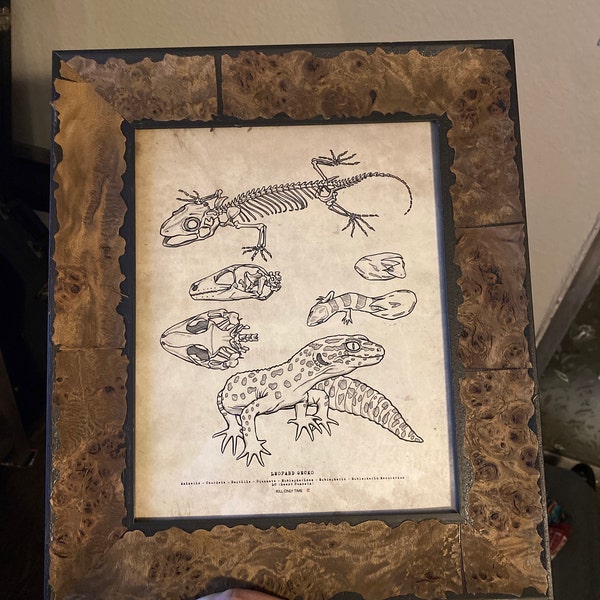 Leopard Gecko Skeleton Wall Art, Gecko Skull Drawing Print, Reptile ...