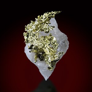 Spinel Twinned Dendritic Native Gold Crystals on Quartz Exceptionally ...