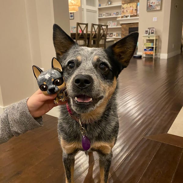 Custom Australian Cattle Dog Figurine, Heeler Art, Queensland Heeler ...