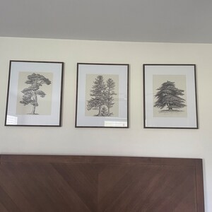 Pine Tree Branch Print Vintage Tree Drawing Enhanced - Etsy