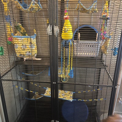 Sugar Glider Small Animal Foraging Pulley Toy-one per Price Alien Toy ...