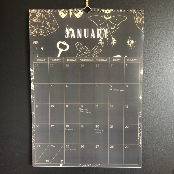 2025 Moth Wall Calendar Square Wall Calendar Illustrated 12 Month ...
