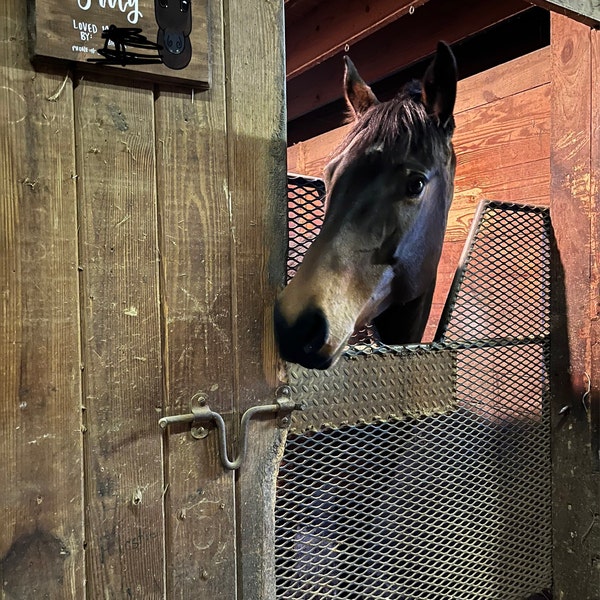 Hanging Show Stall Signs - Etsy