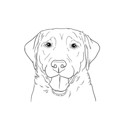Dog Outline, Custom Line Drawing, Pet Portrait Full Body, Inked Line ...