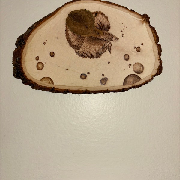 Sea Turtle Wall Art, Finding Nemo Wall Art, Sea Turtle Gifts, Turtle ...