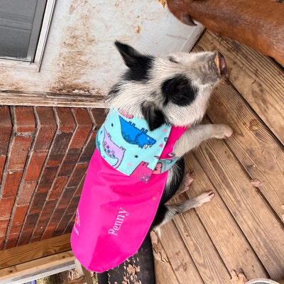 Pet Neck Scarf Dog Neck Warmer Puppy Scarf Winter Dog Scarf - Etsy