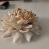 Fusion Flowers East Meets West Seashell Rose Handmade With Indo-pacific ...