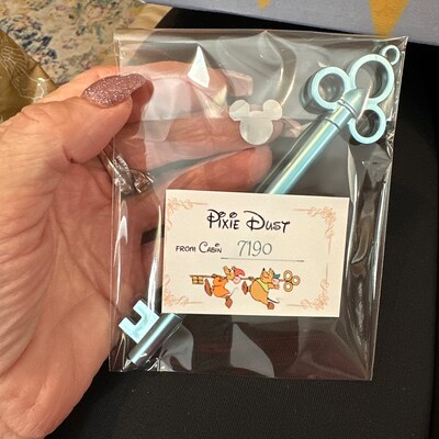 Pirate Night Fish Extender or Pixie Dust Gifts. Set of 5 - Etsy