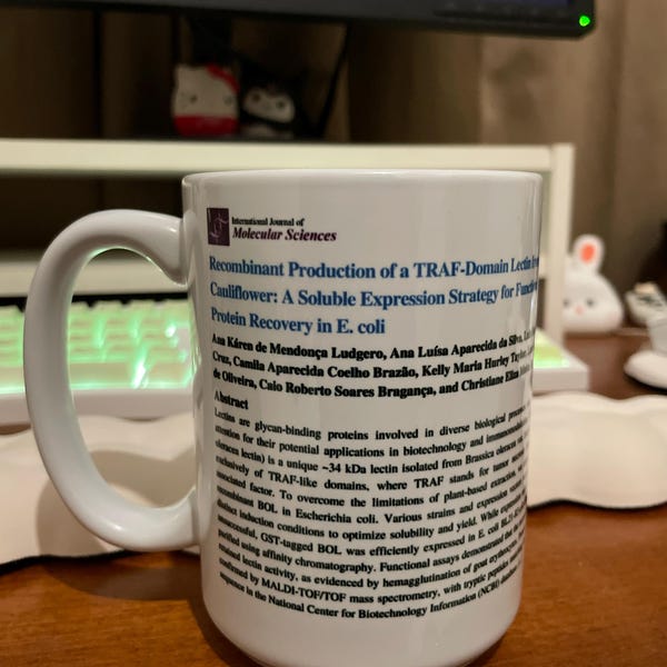 Publication Mug, Custom Quote, Phd Student Gift, Phd Graduation Gift ...