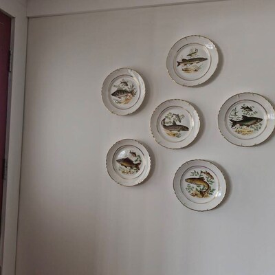 Eight 1950s French Fish Plates. Fish Dinnerware Set - Etsy