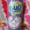 Bug Enthusiast Insect Lover Vinyl Sticker, Entomology Gift, Cute Water ...