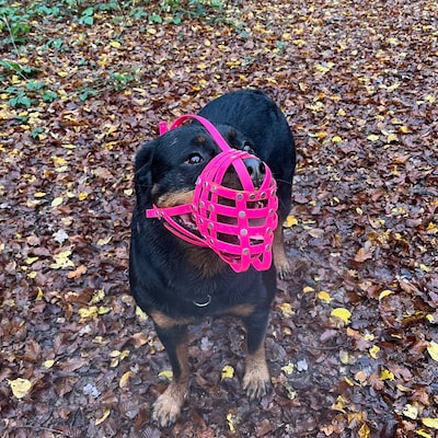 Biothane Dog Muzzle - Etsy