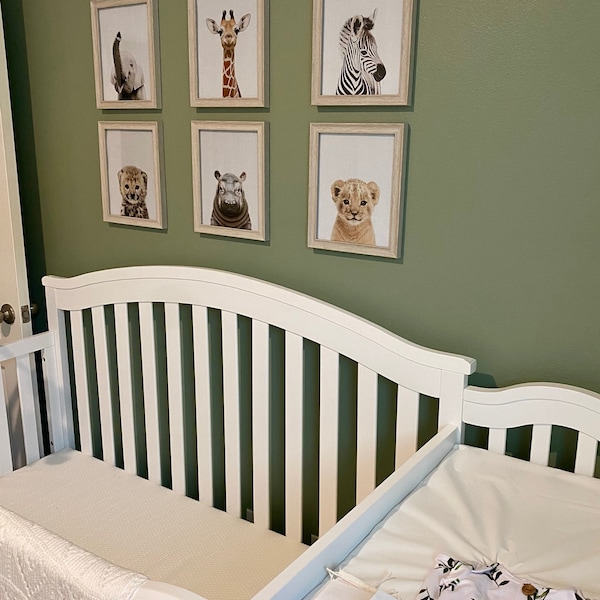 Safari Nursery Prints Set of 6 Jungle Animal Prints Baby Animal Wall ...