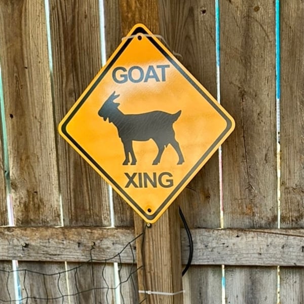 Goat Xing Metal Yellow Farm Caution Crossing Sign 6"x 6" or 12"x12" NEW ...