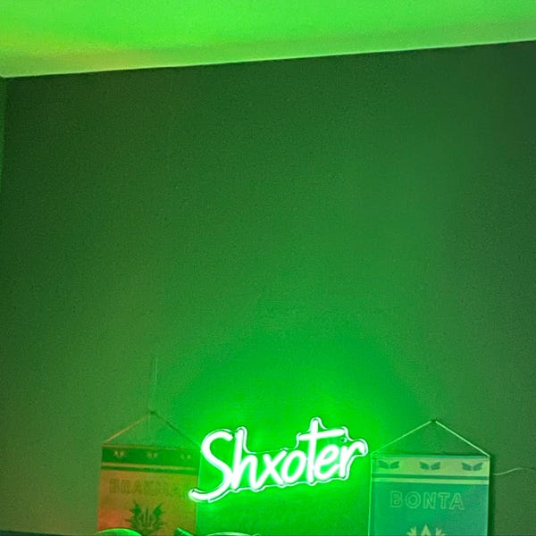 Custom Neon Sign for Decor, Neon Sign, LED Sign, Room Decor Aesthetics ...